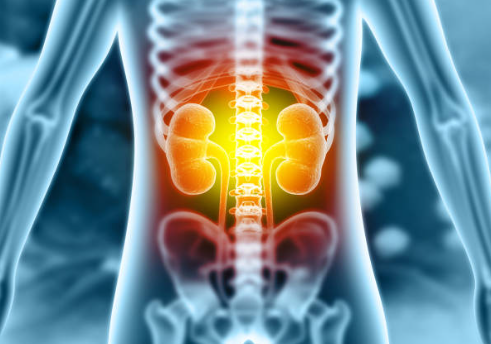 Hígado y Riñón – PH Vital